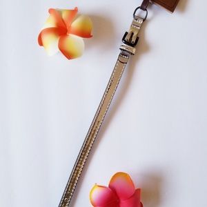 COCO LANE COUTURE | Dog | Coco Lane Couture Dog Collar | Poshmark